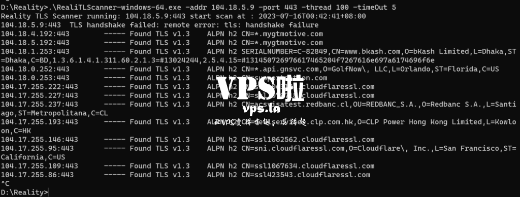如何使用 RealiTLScanner 项目，扫描 Reality 的回落域名 - VPS啦